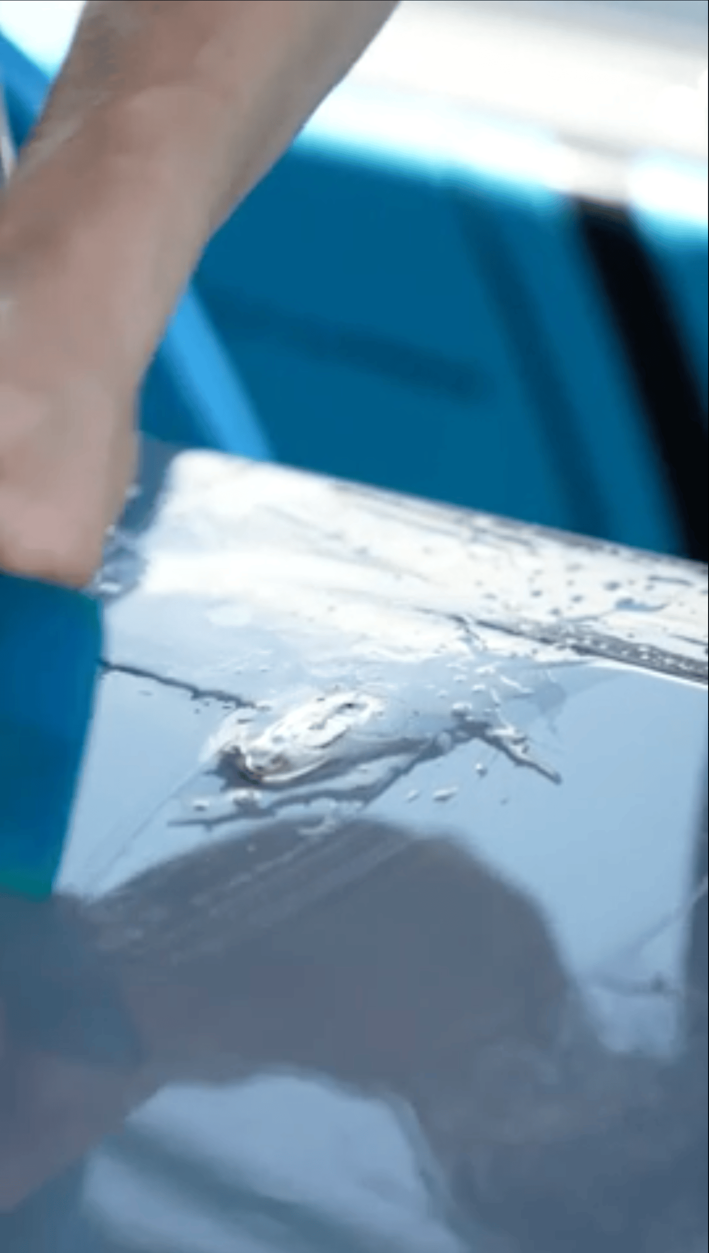 XPEL Marine Protection